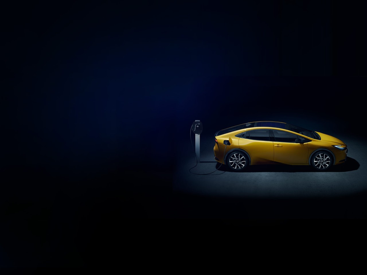 E-Kennzeichen in Deutschland - ein Leitfaden | Toyota DE